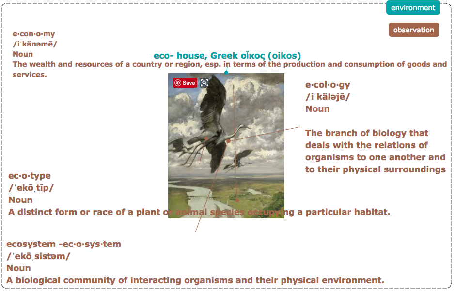 Greek Root eco NCMALearn